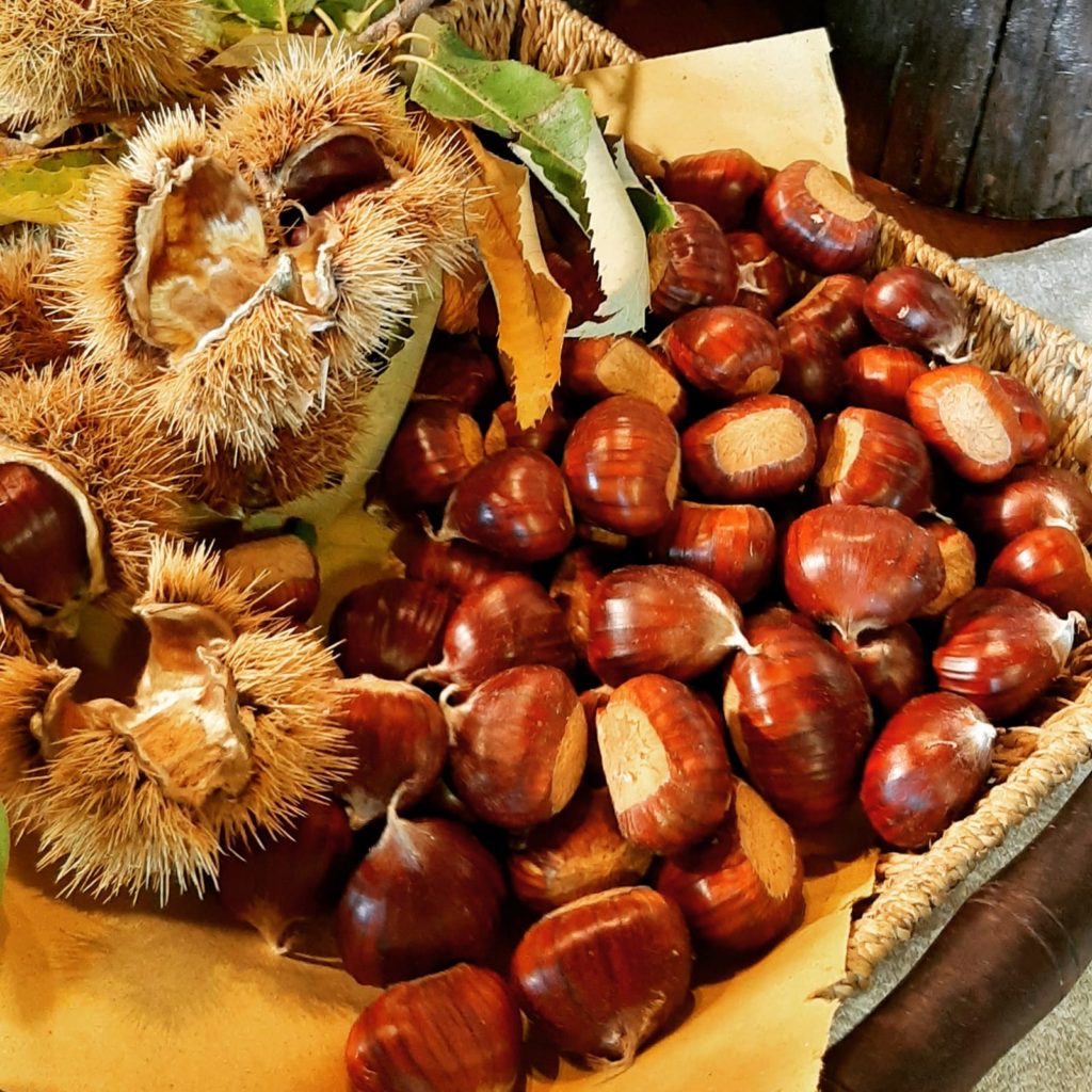 Reggio Calabria: Grande attesa a Cardeto per la XXI Sagra della Castagna