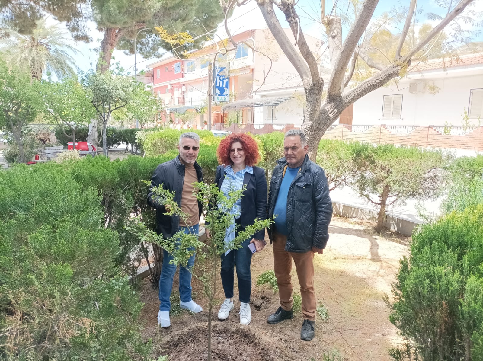 San Lorenzo (RC), Progetto Olmo al Comune